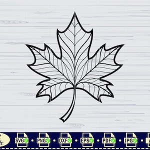 Maple Leaf SVG 1 Leaf Svg Autumn Svg Maple Leaf Clipart - Etsy