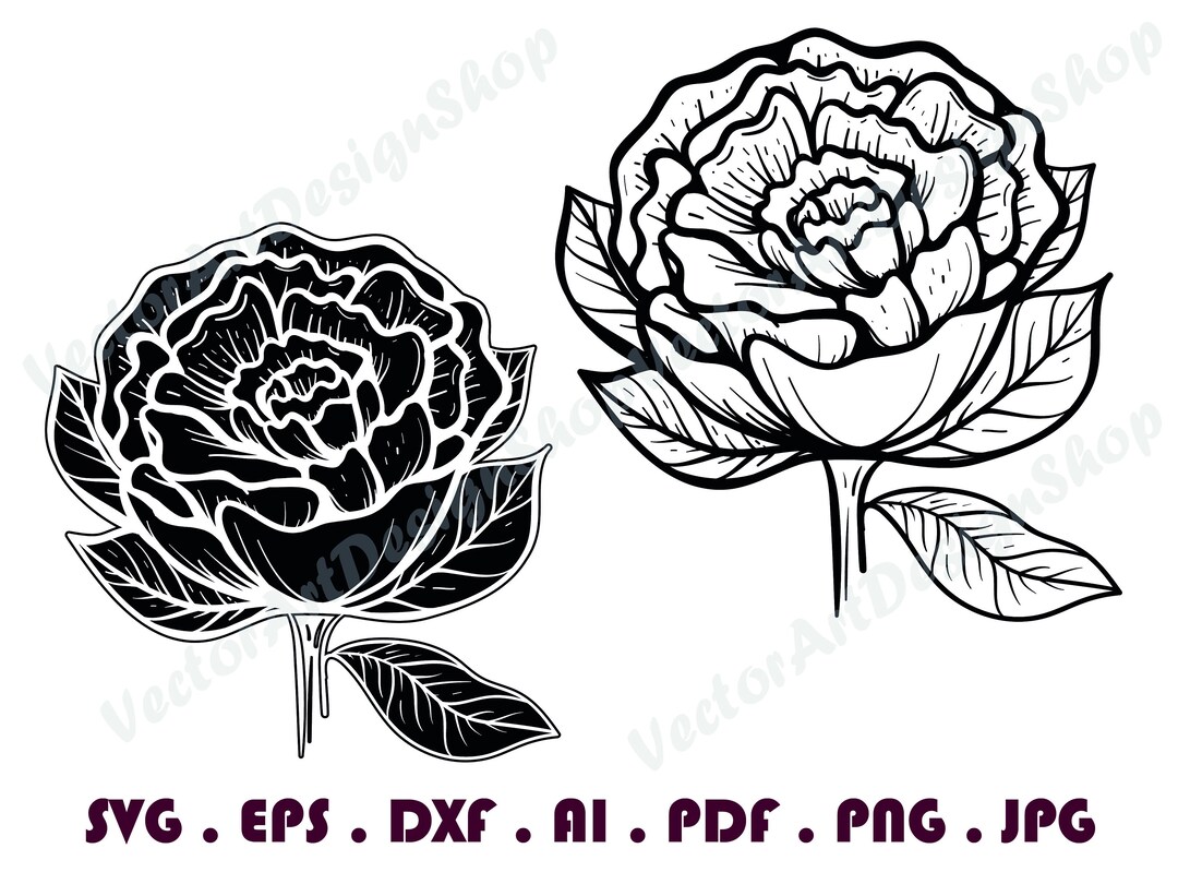 Peony Flower 1 SVG Flower Svg Peony Flower Clipart Peony - Etsy Canada