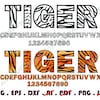 Tiger Print Font: Animal Alphabet SVG, PNG, AI (digital Download) - Etsy
