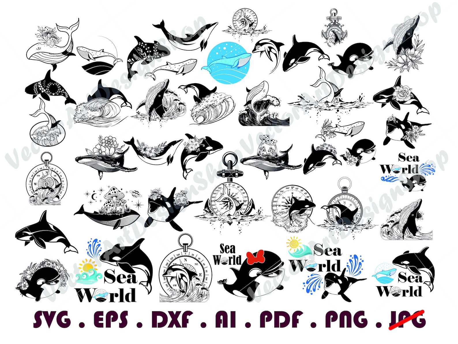 Whale SVG Bundle 1 Sea World Svg Whale Floral SVG Dancing | Etsy