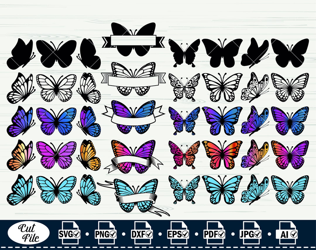 Buy Butterfly SVG File,2, Butterfly SVG Layered, Butterfly Files for ...