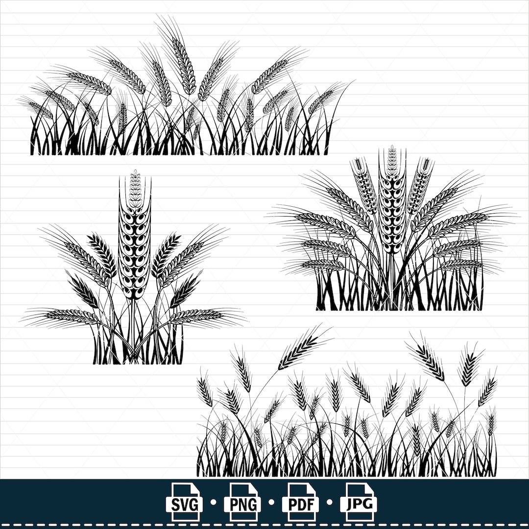 Wheat SVG, Wheat Svg Clipart, Grain Svg, Wheat Clipart, Wheat Files for ...
