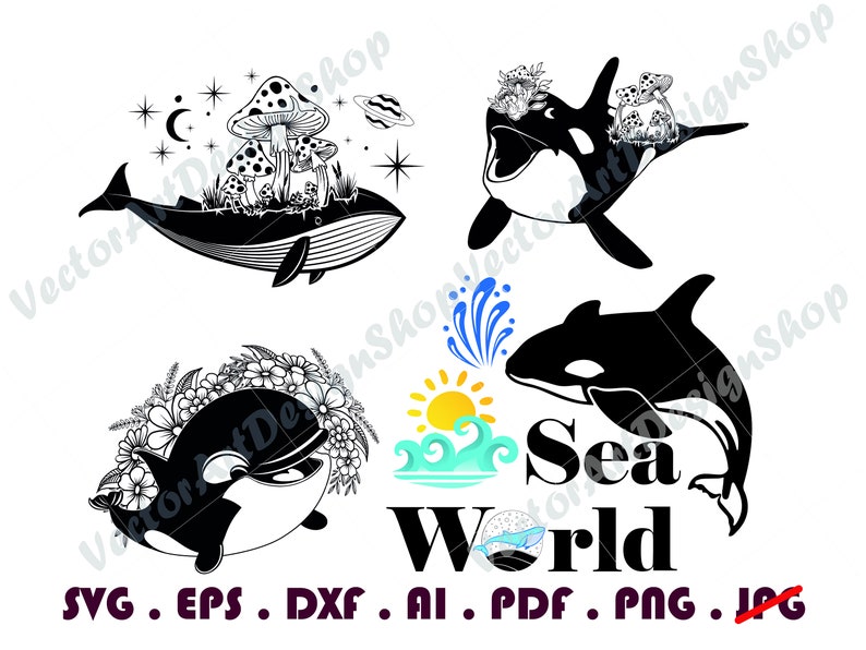 Whale SVG Bundle 1 Sea World Svg Whale Floral SVG Dancing | Etsy