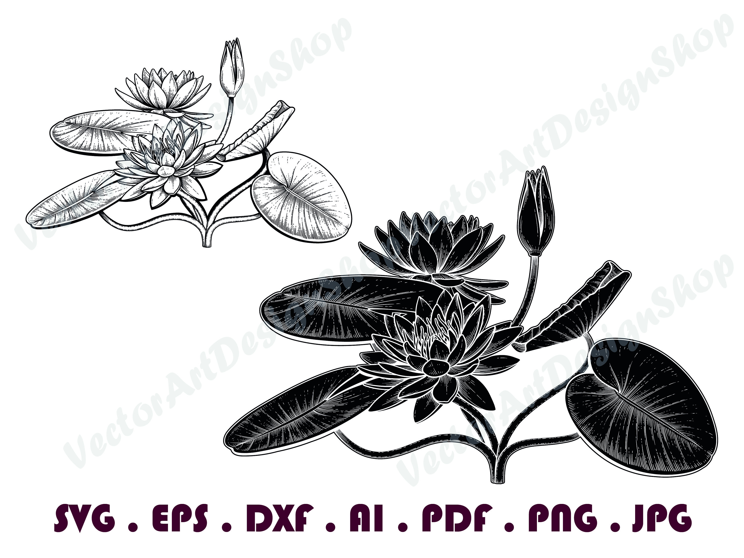 Water Lily Flower 1 SVG, Water Lily Flower Svg, Lily SVG, Flower Svg ...