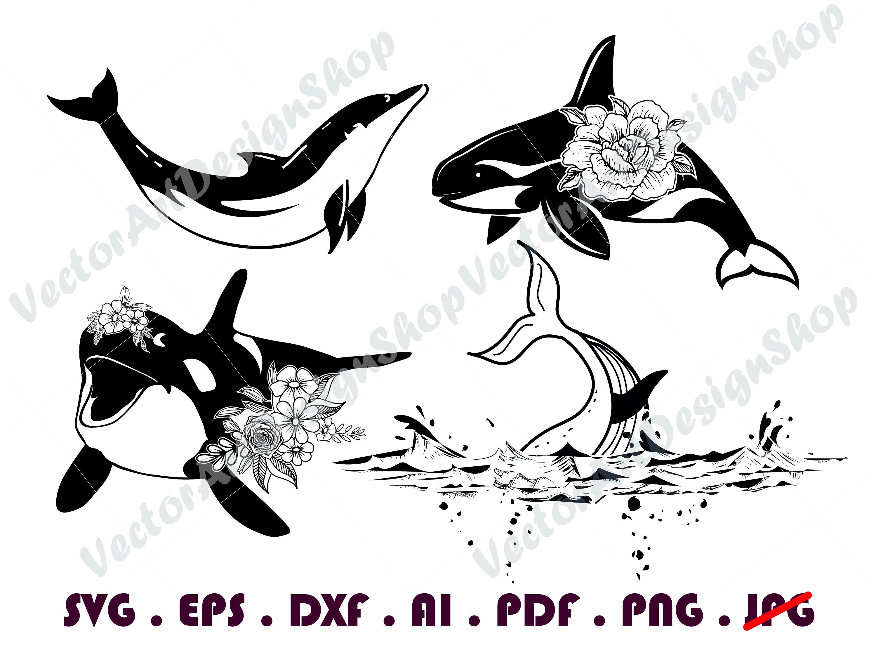 Whale SVG Bundle 1 Sea World Svg Whale Floral SVG Dancing | Etsy Australia