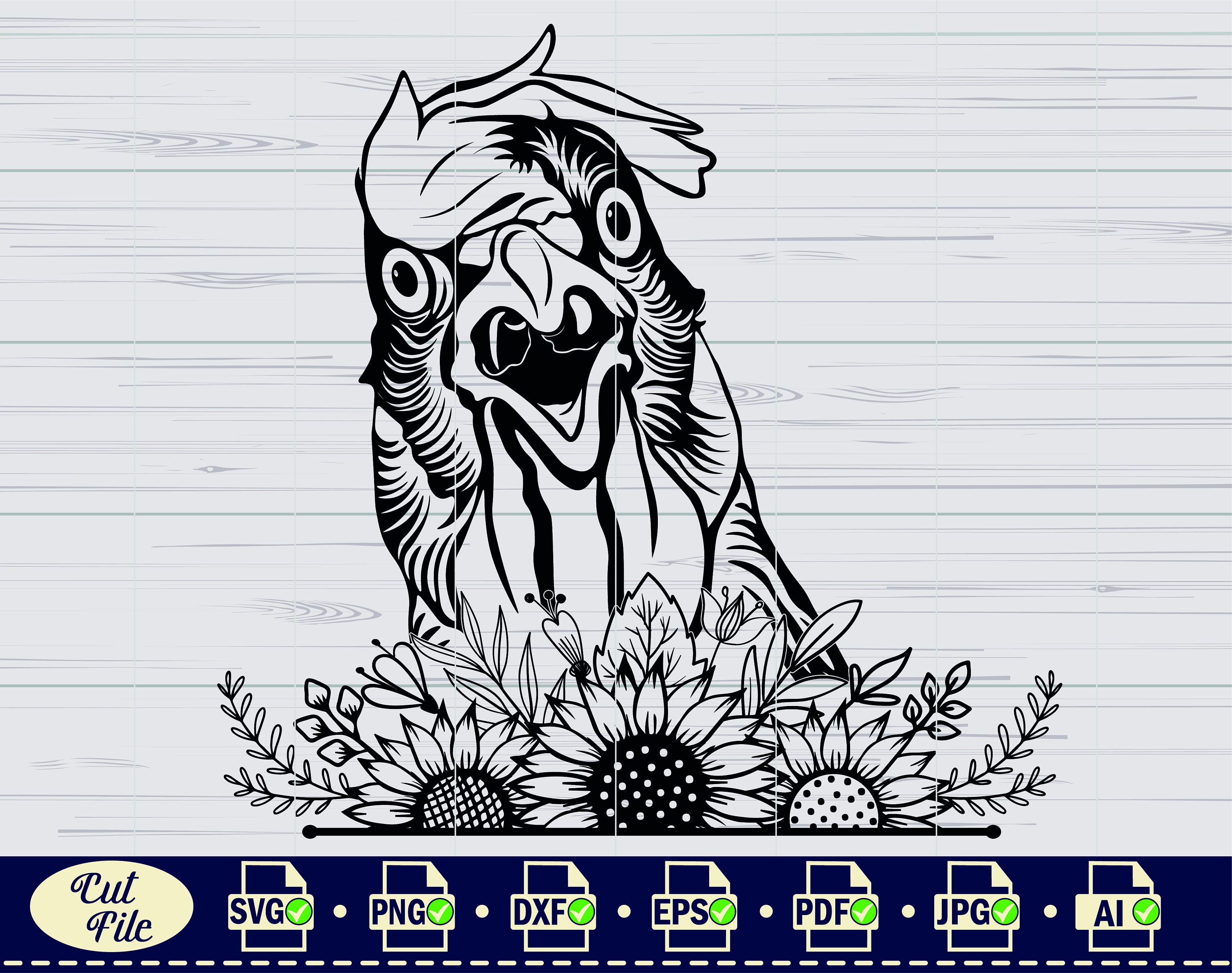 Chicken Svg Files 10 Floral Chicken Crazy Chickencute - Etsy
