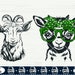 GOAT Svg,#4, Goat With Bandana Svg, Free Cuts for Cricut, Goat Vector ...