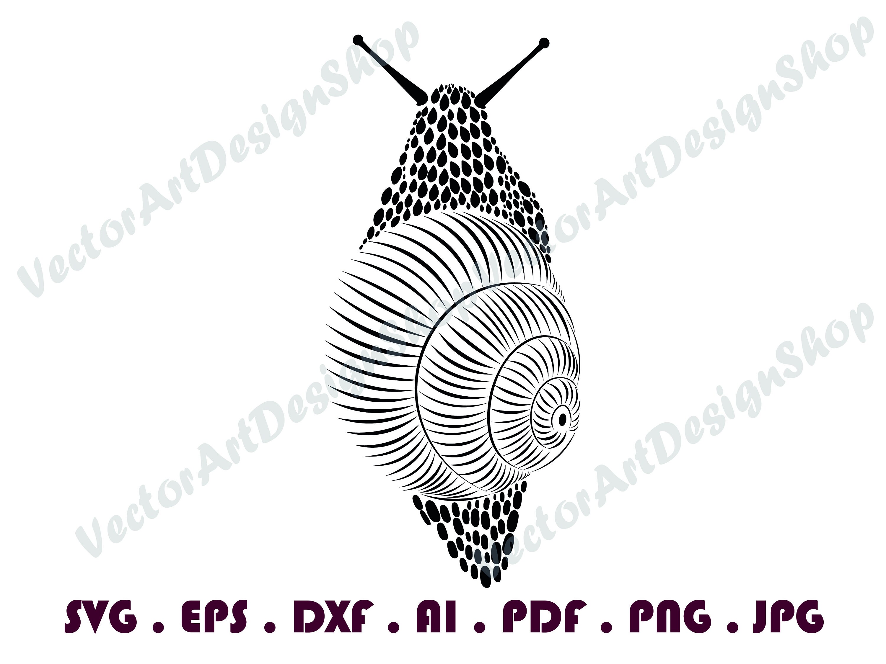 Snail SVG Garden Snail Svg Snail Clipart Snail Files for | Etsy