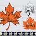 Maple Leaf Outline SVG ,2, Maple Leaf Svg, Autumn Svg, Maple Leaf ...