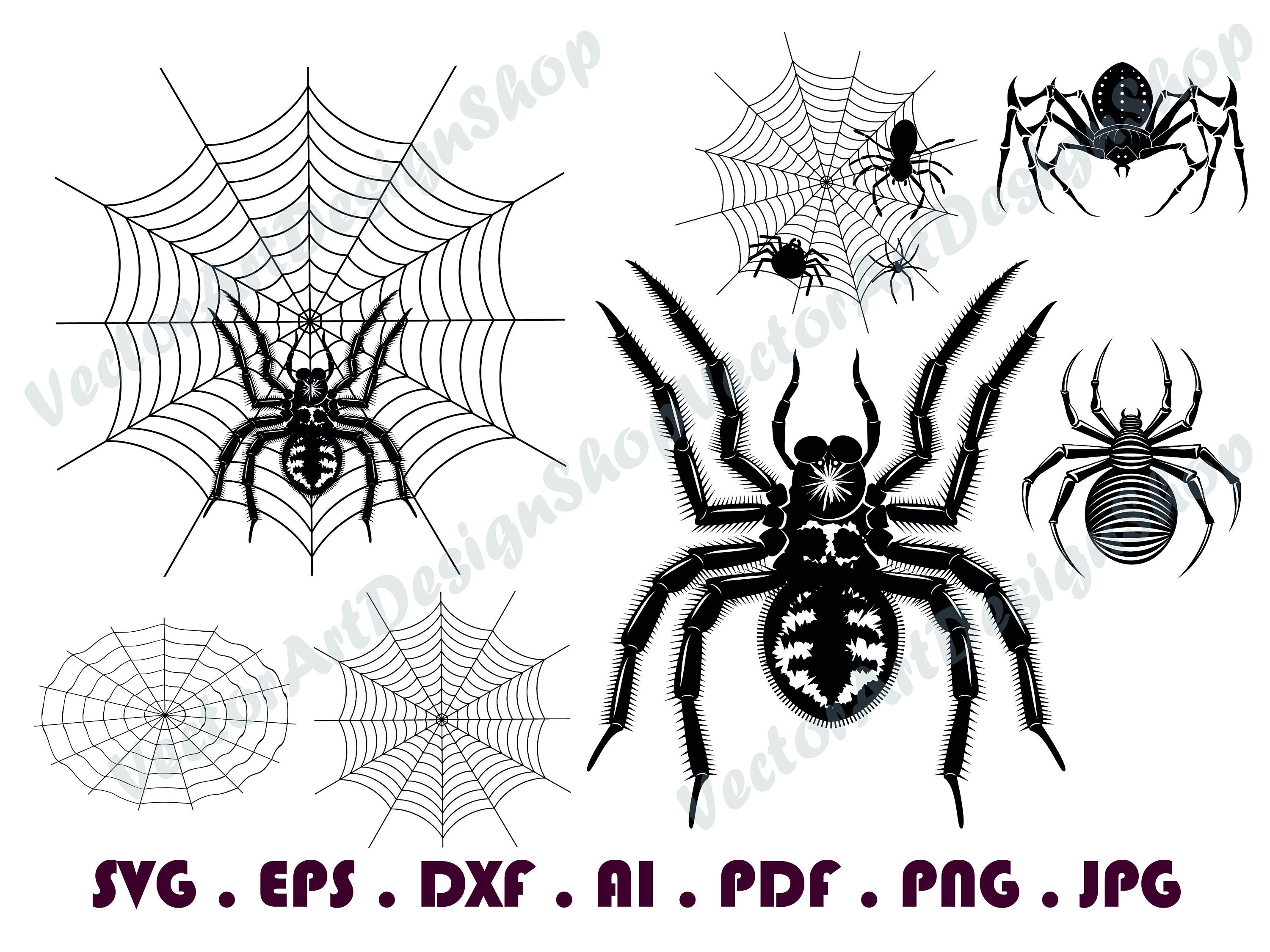 Tarantula 2 SVG Tarantula SVG Spider Svg Tarantula - Etsy Australia