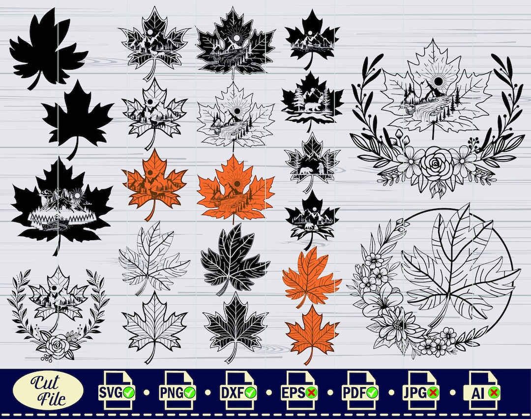 Maple Leaf SVG ,#1, Leaf Svg, Autumn Svg, Maple Leaf Clipart, Maple ...