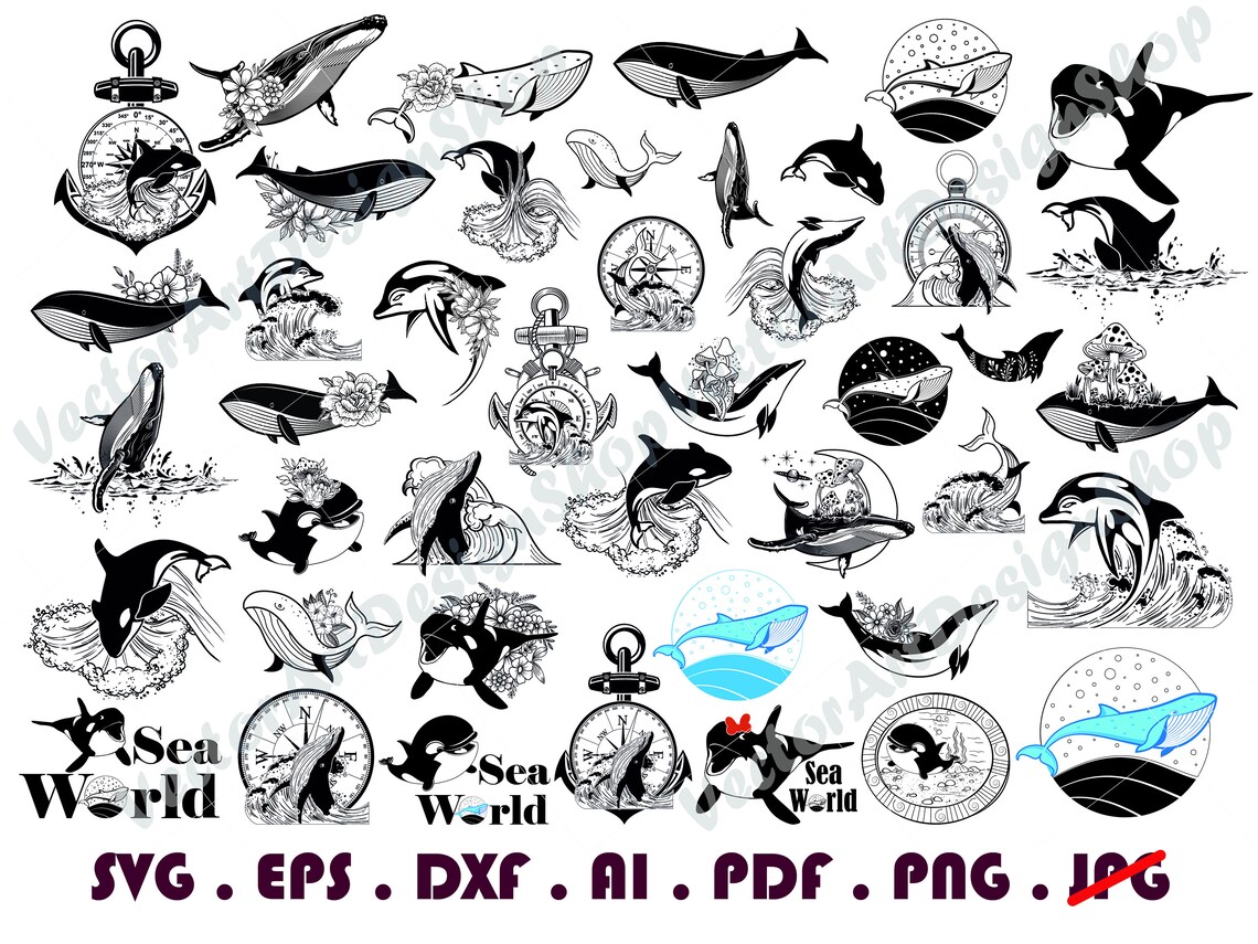 Whale SVG Bundle 2 Whale Floral SVG Sea World Svg Dancing | Etsy