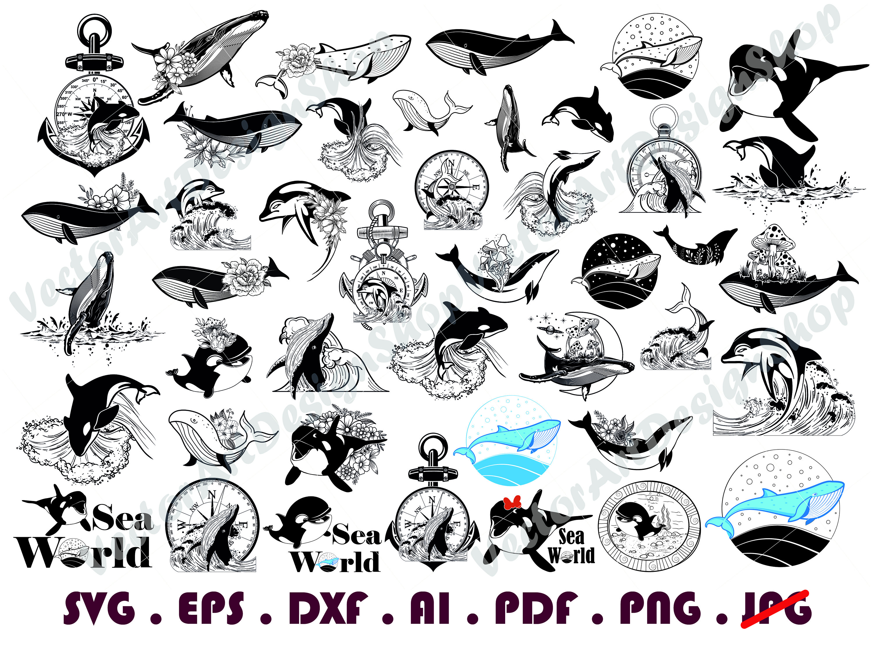 Whale SVG Bundle 2 Whale Floral SVG Sea World Svg Dancing | Etsy