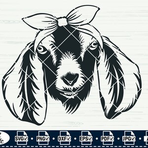 GOAT Svg,#4, Goat With Bandana Svg, Free Cuts for Cricut, Goat Vector ...