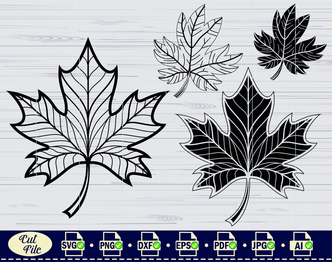 Maple Leaf SVG 1 Leaf Svg Autumn Svg Maple Leaf Clipart - Etsy Canada