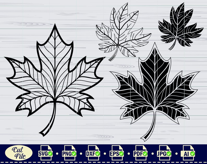 Maple Leaf SVG 1 Leaf Svg Autumn Svg Maple Leaf Clipart - Etsy