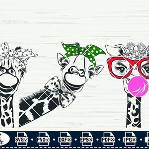 Giraffe SVG File,#2, Funny Giraffes With Flowers Svg, African Safari ...