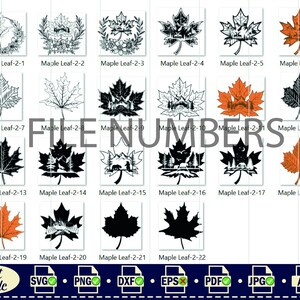 Maple Leaf Outline SVG ,#2, Maple Leaf Svg, Autumn Svg, Maple Leaf ...