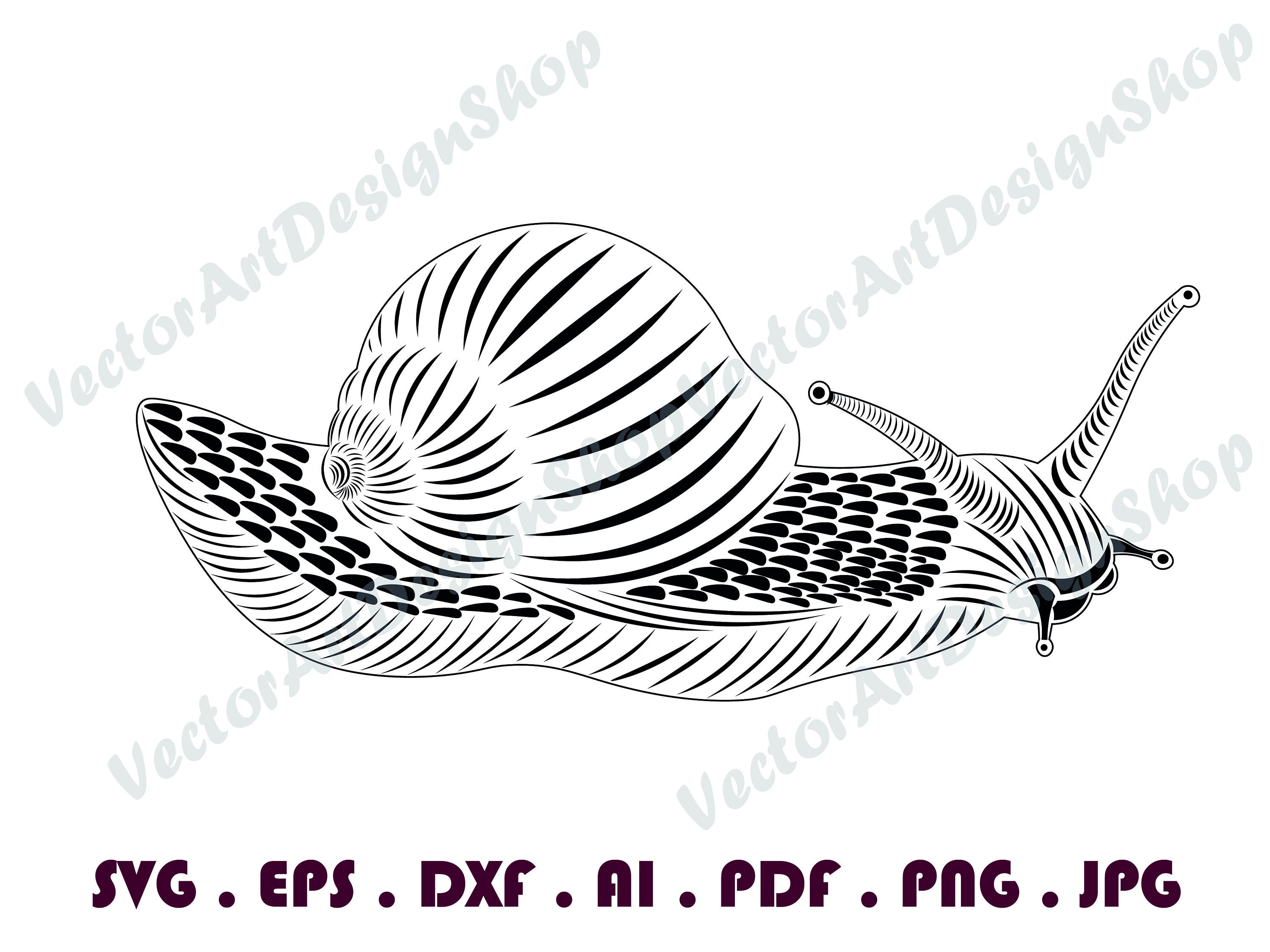 Snail SVG Garden Snail Svg Snail Clipart Snail Files for | Etsy