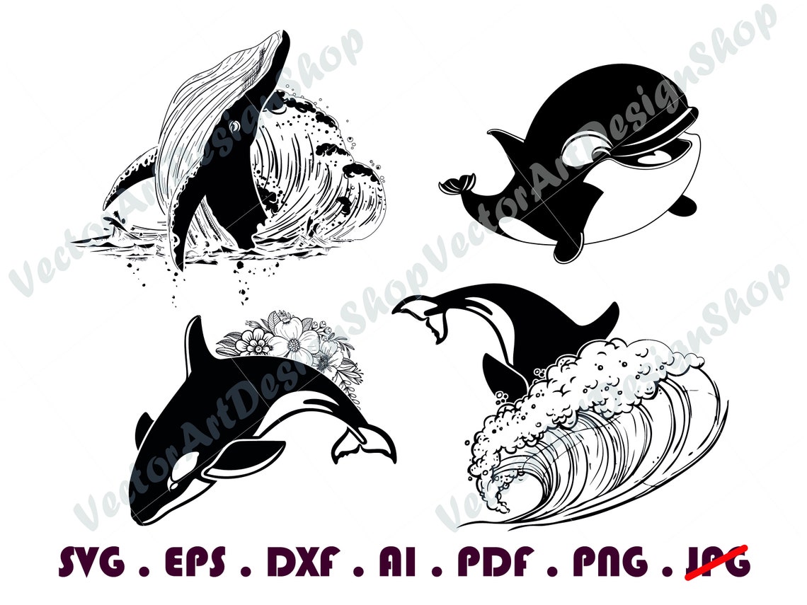 Whale SVG Bundle 1 Sea World Svg Whale Floral SVG Dancing | Etsy