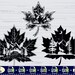 Maple Leaf Outline SVG 2 Maple Leaf Svg Autumn Svg Maple - Etsy