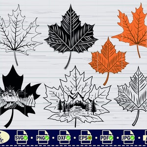 Maple Leaf Outline SVG ,#2, Maple Leaf Svg, Autumn Svg, Maple Leaf ...