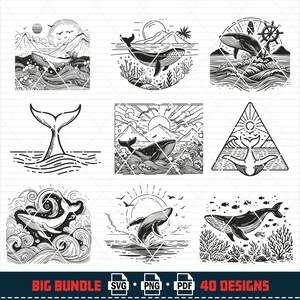 Whale SVG Bundle: Floral, Mushroom, Ocean Designs (digital Files) - Etsy