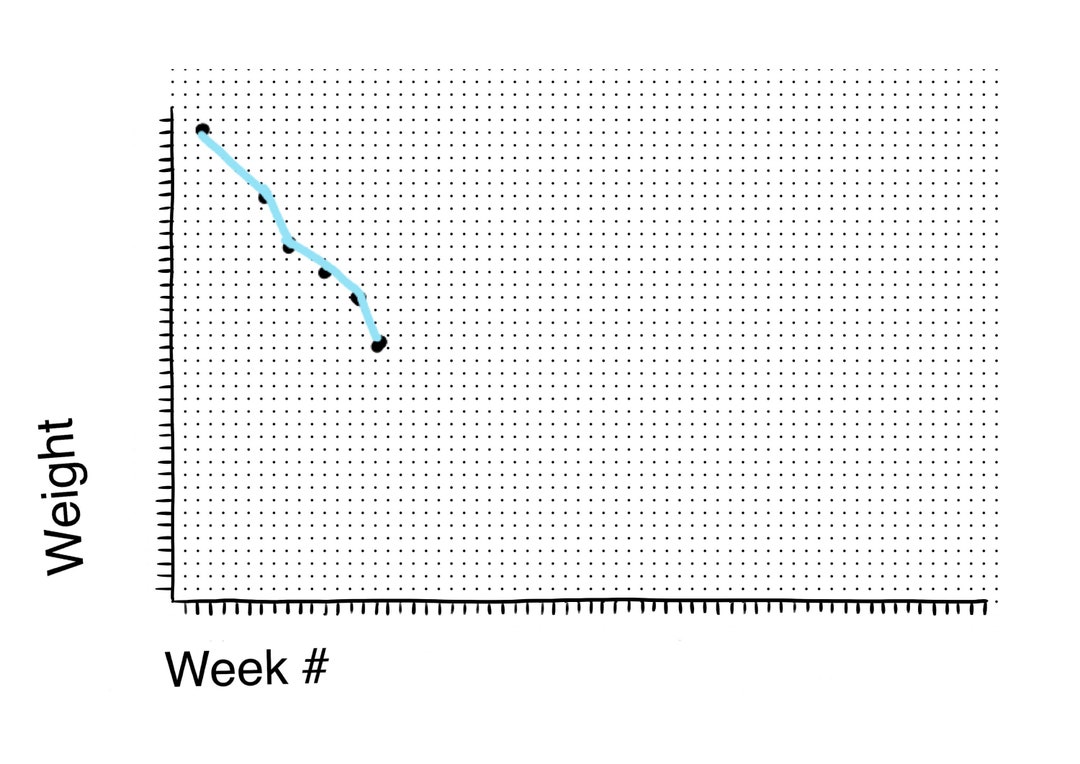 Bullet Journal PDF - Line Graph (weight Loss) - Etsy