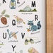 Adventure Alphabet Print, Illustrated Children's Print, Playroom Wall ...