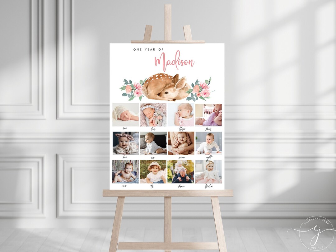 Deer First Year Photo Poster, One Der-ful, One-deerful, First Birthday ...