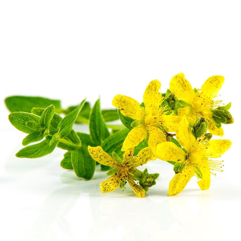 Centaury Oil-kantaron Yağı-st. John's Wort Oil-all Organic-herbal ...