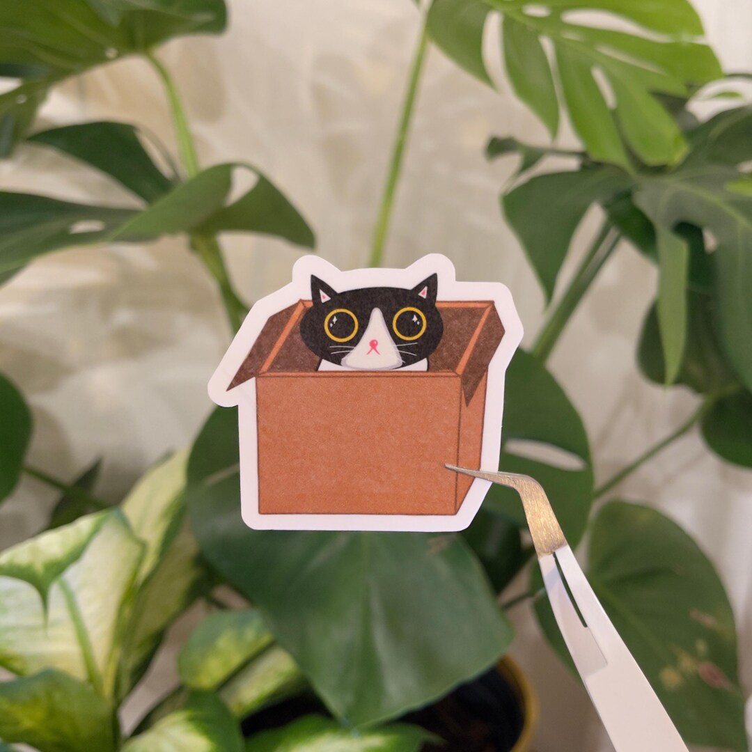 Whimsy Cat in Cardboard Cox Sticker Funny Tuxedo Kitty Cute Kawaii Hand ...