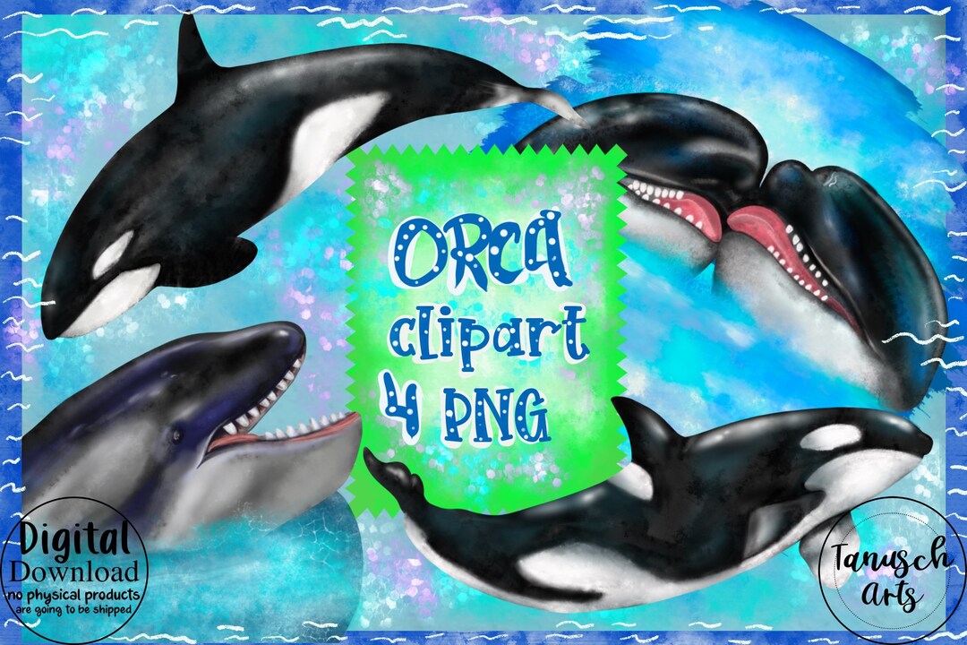 Watercolor ORCA Clipart PNG Killer Whale Couple Sea Animals Set Digital ...
