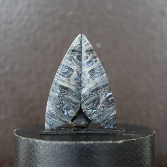 Palm Root Pair | Etsy