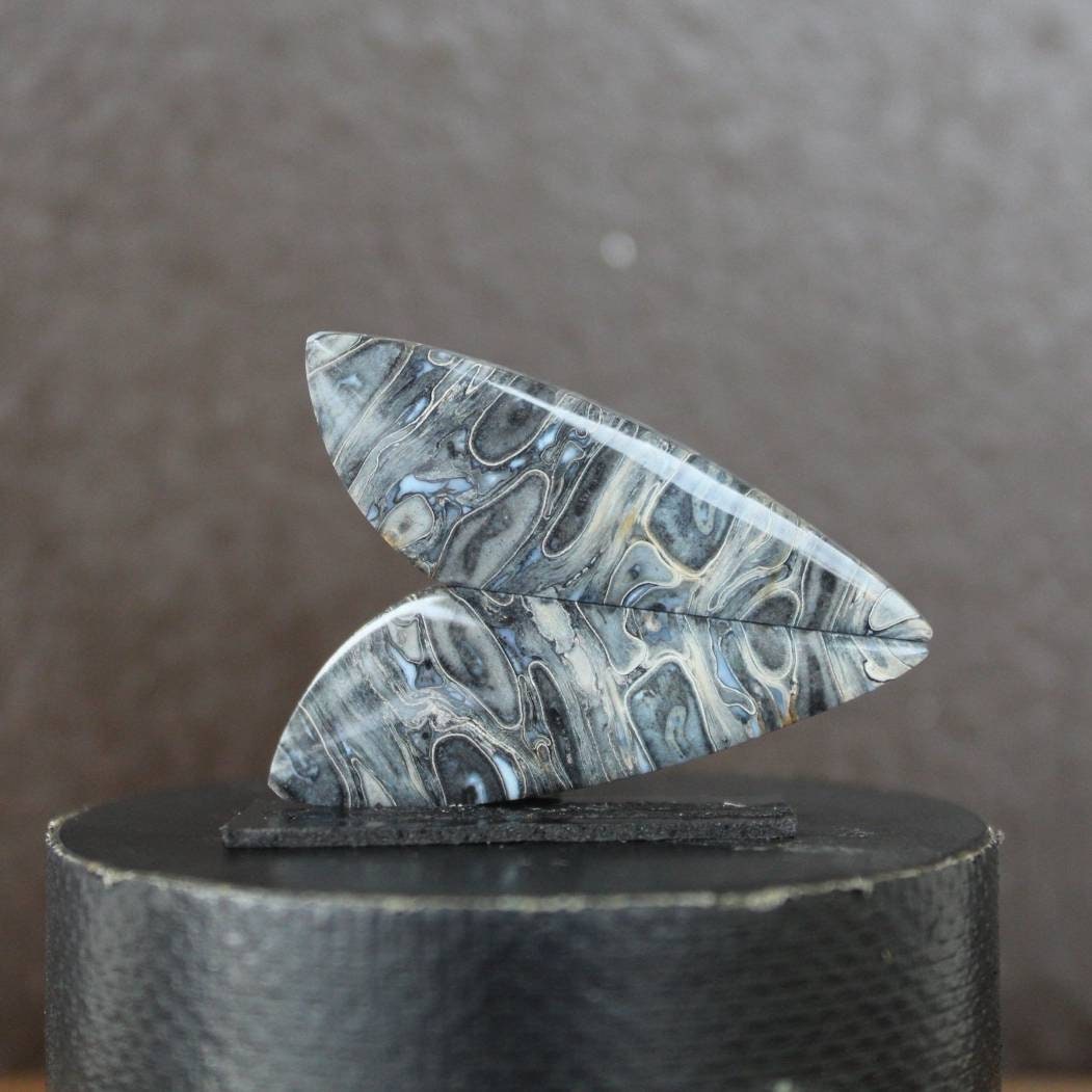 Palm Root Pair | Etsy