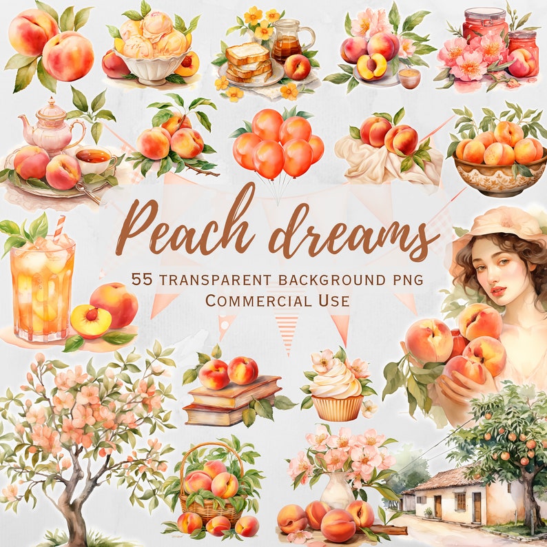 Peach Dreams Clipart Bundle With Transparent Background - Etsy