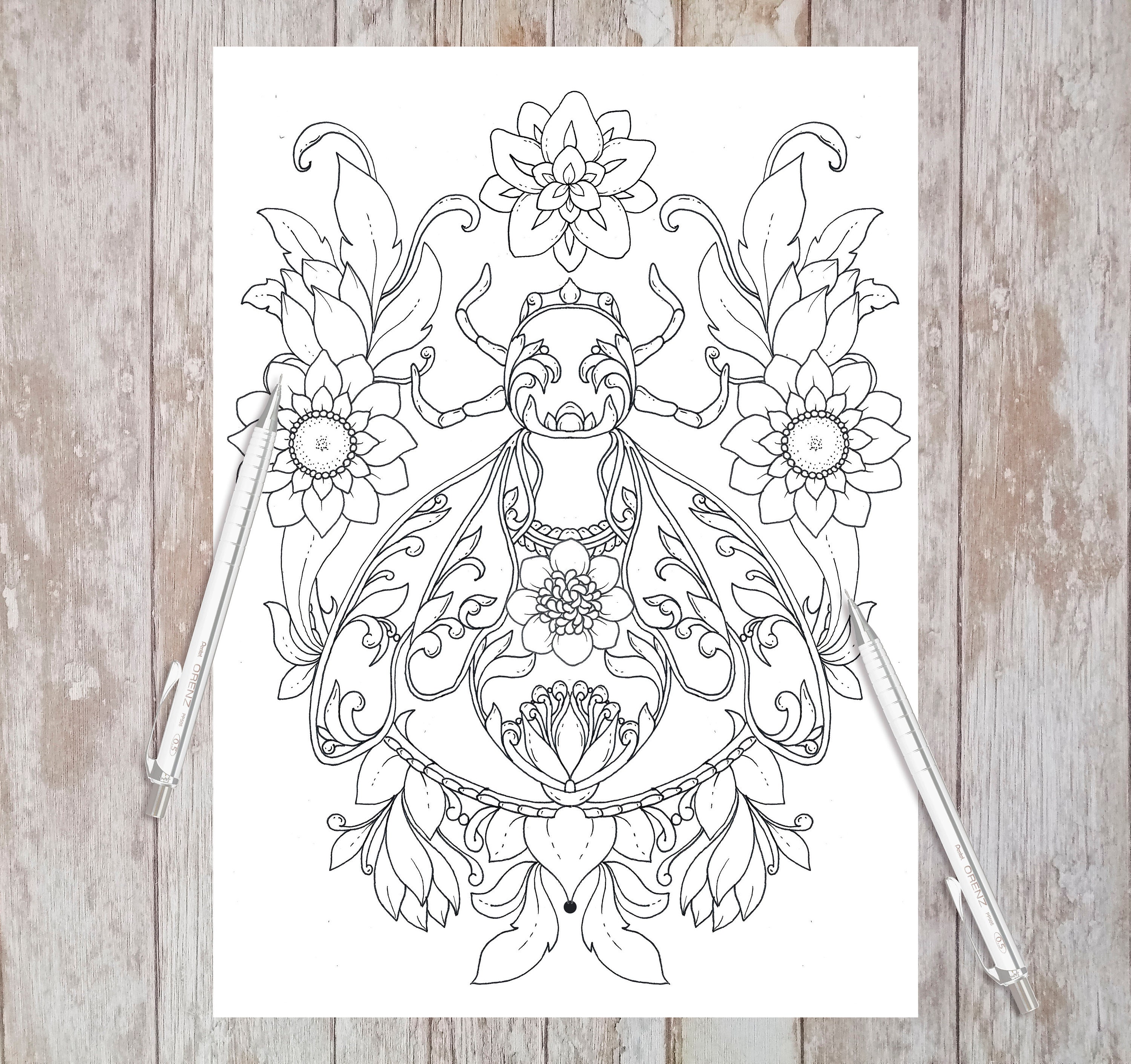 Set of 2 - Amazing Insects - Printable Adult Coloring Pages (coloring ...