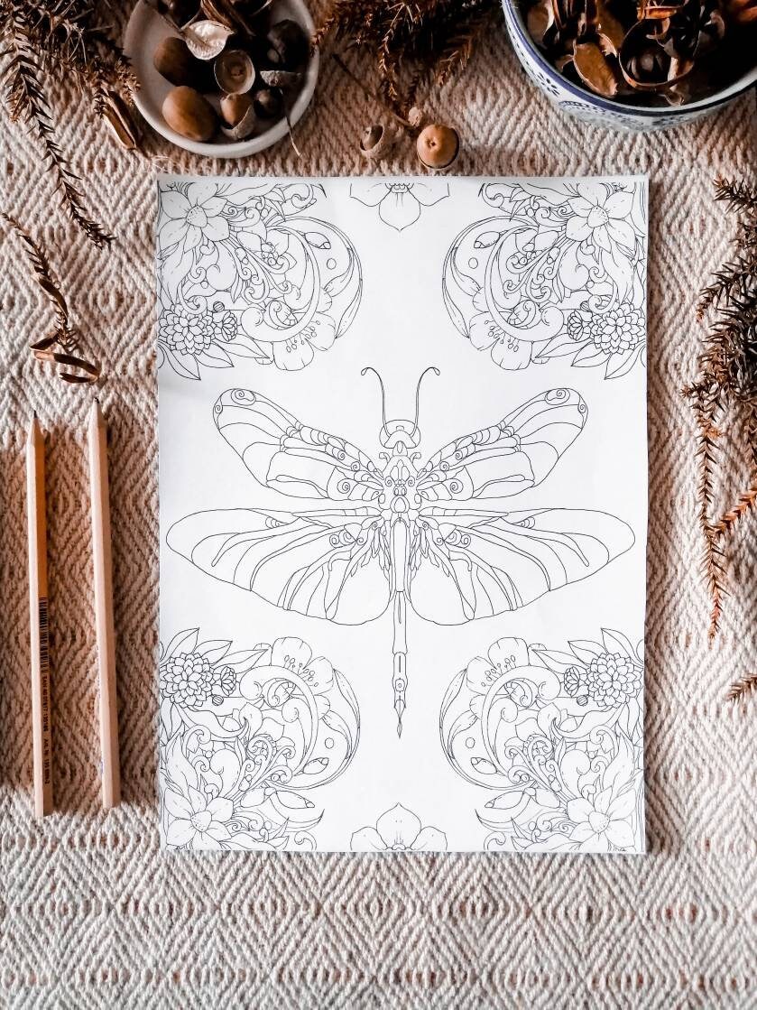 Printable Adult Coloring Page Dragonfly Instant Download - Etsy