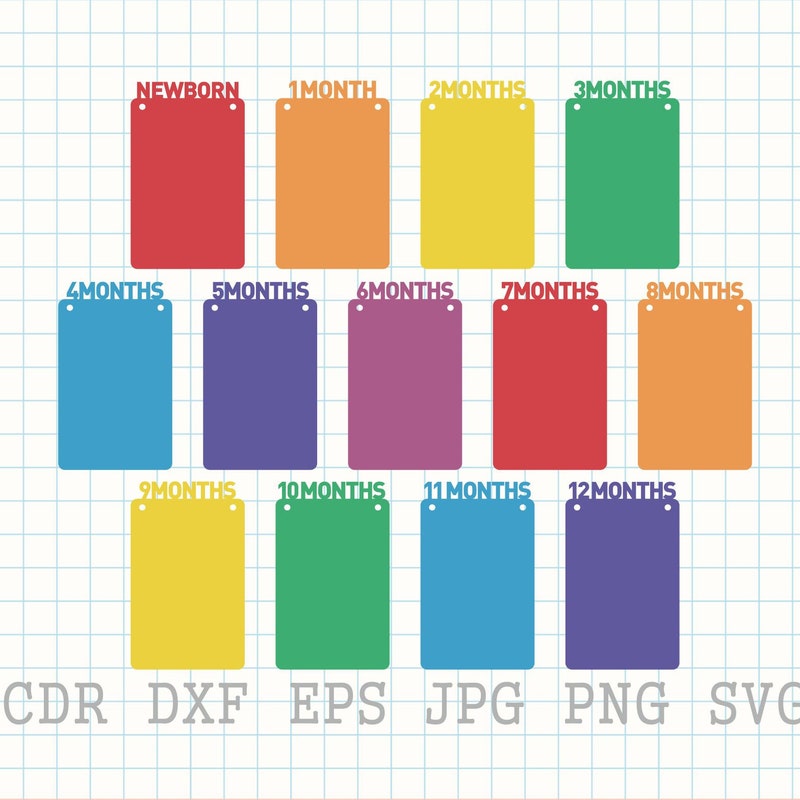 12 Month Banner - Etsy