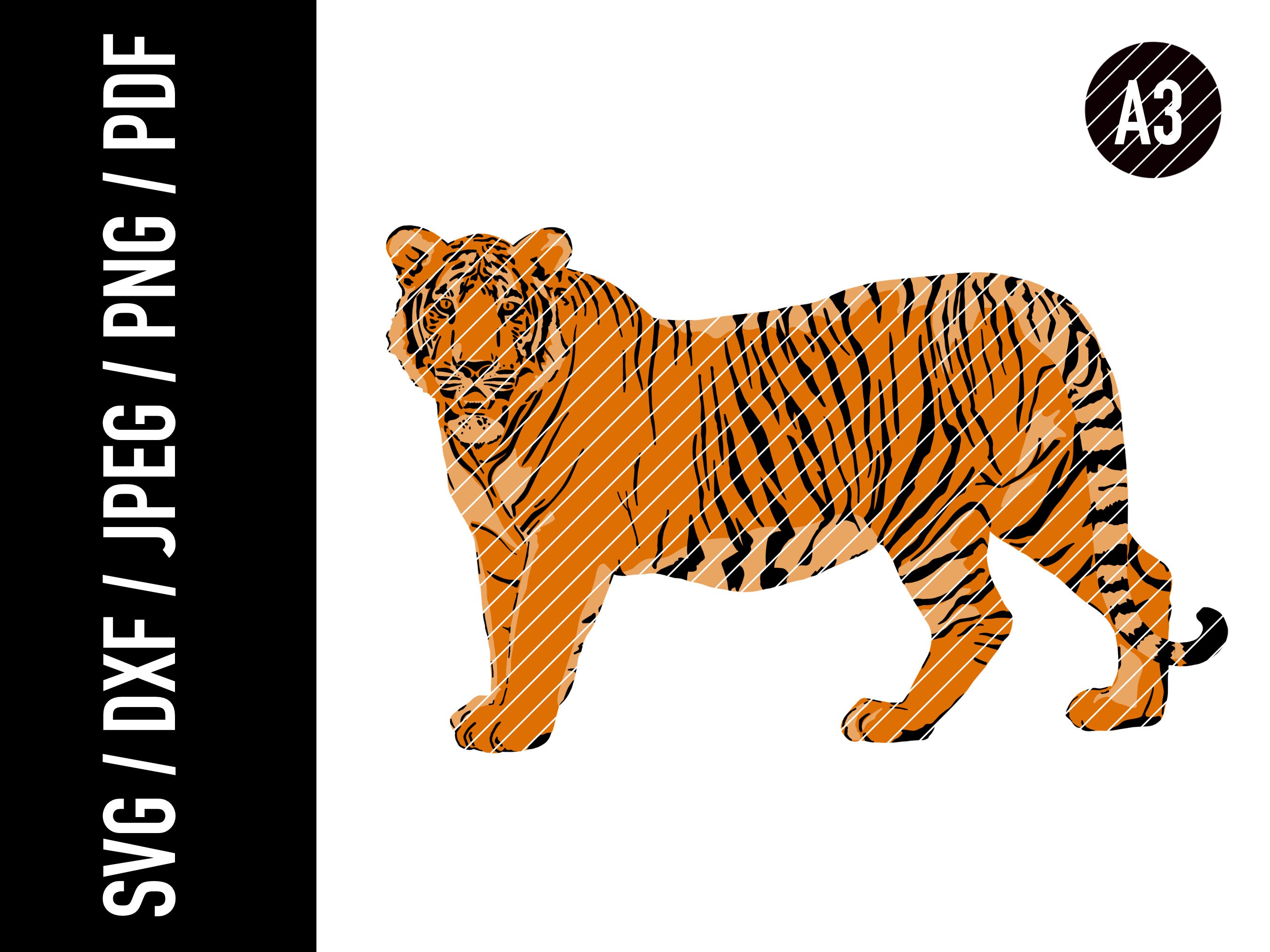 Tiger Set (A4 & A3) - Stencil/cut File - Perfect for Screenprint, Foils ...