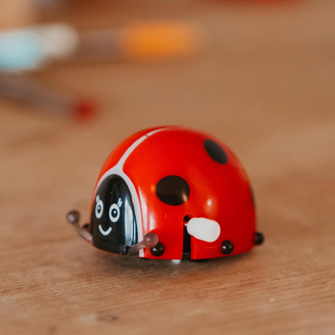 Ladybird Toy Wind Up - Etsy
