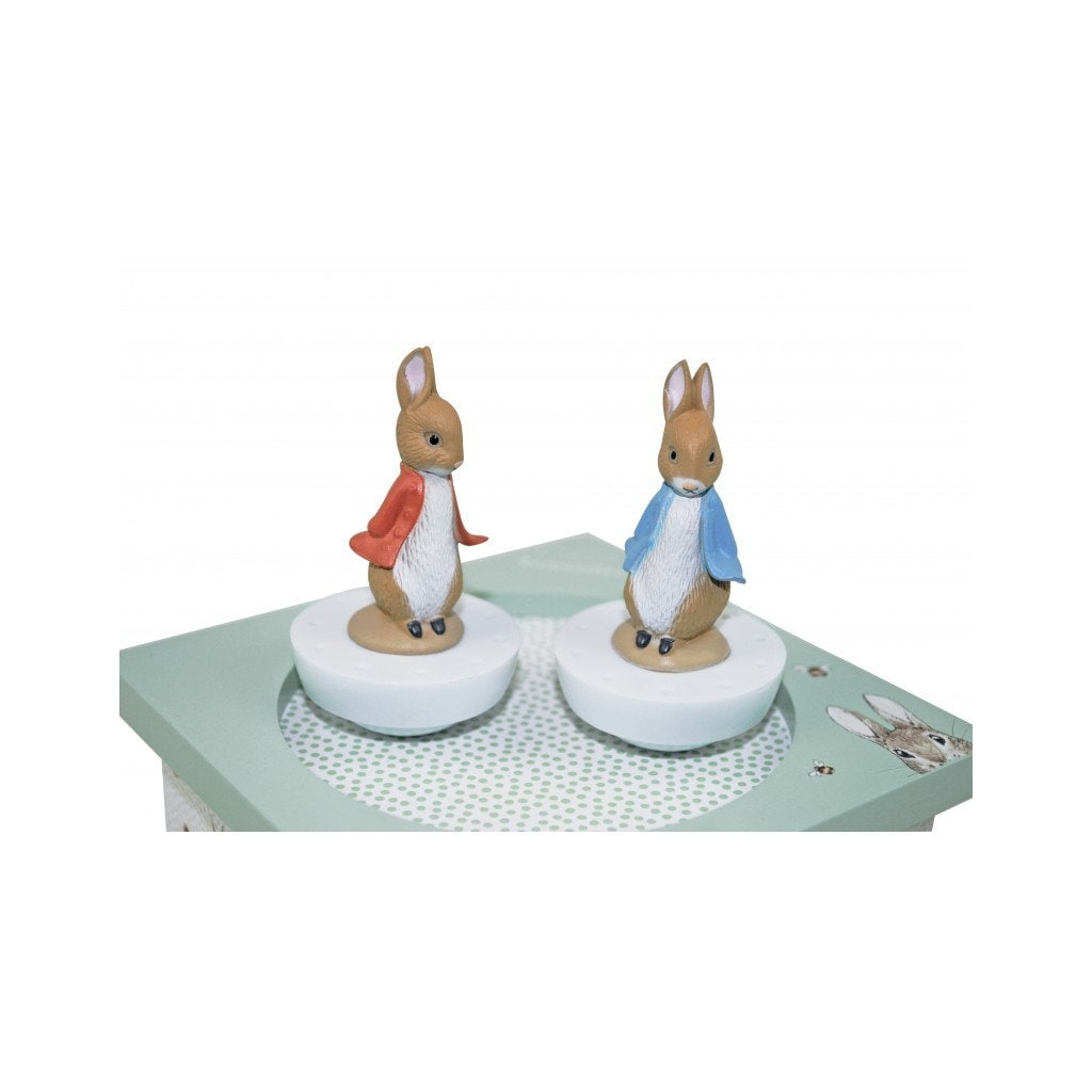 Dancing Peter Rabbit Music Box - Etsy UK