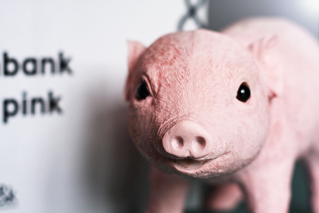 Piggy Bank Money Box Pink - Etsy