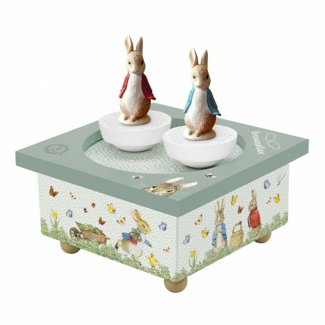 Dancing Peter Rabbit Music Box - Etsy