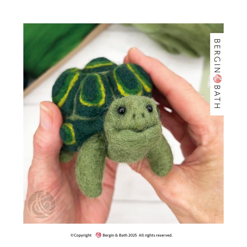 Needle Felted Tortoise. PDF Tutorial Instructions Only. Instant ...
