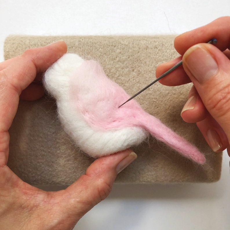 Needle Felting Kit Pink Budgie. Make a Sweet Pink Budgerigar - Etsy