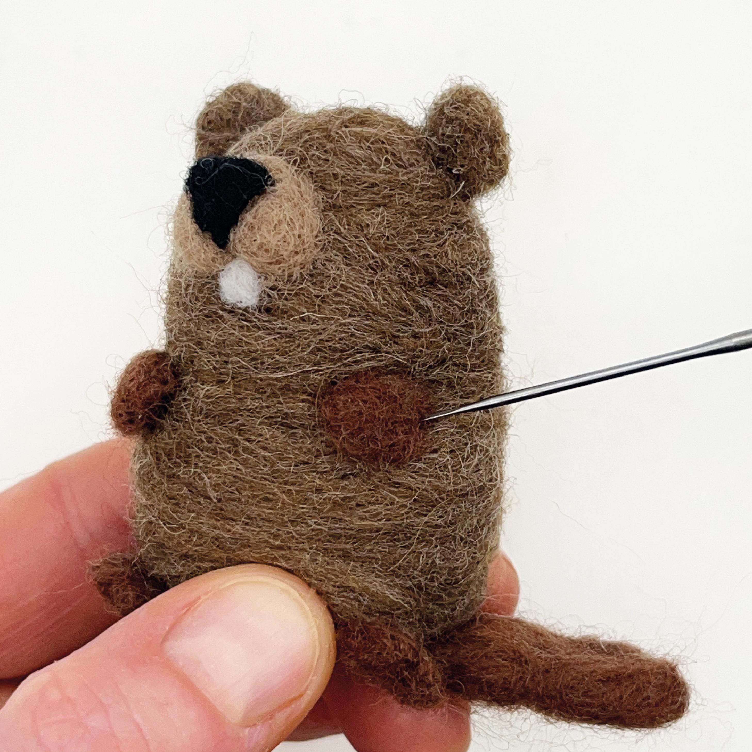 Needle Felting Kit: Beaver Pair, Craft Kit for Beginners - Etsy UK