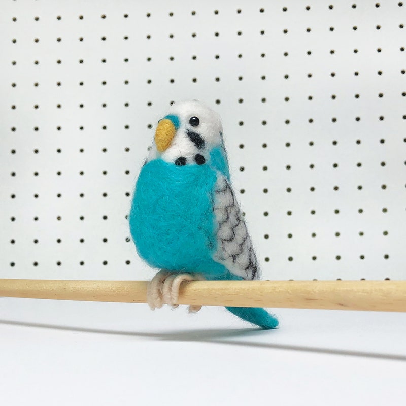Needle Felting Budgie - Etsy