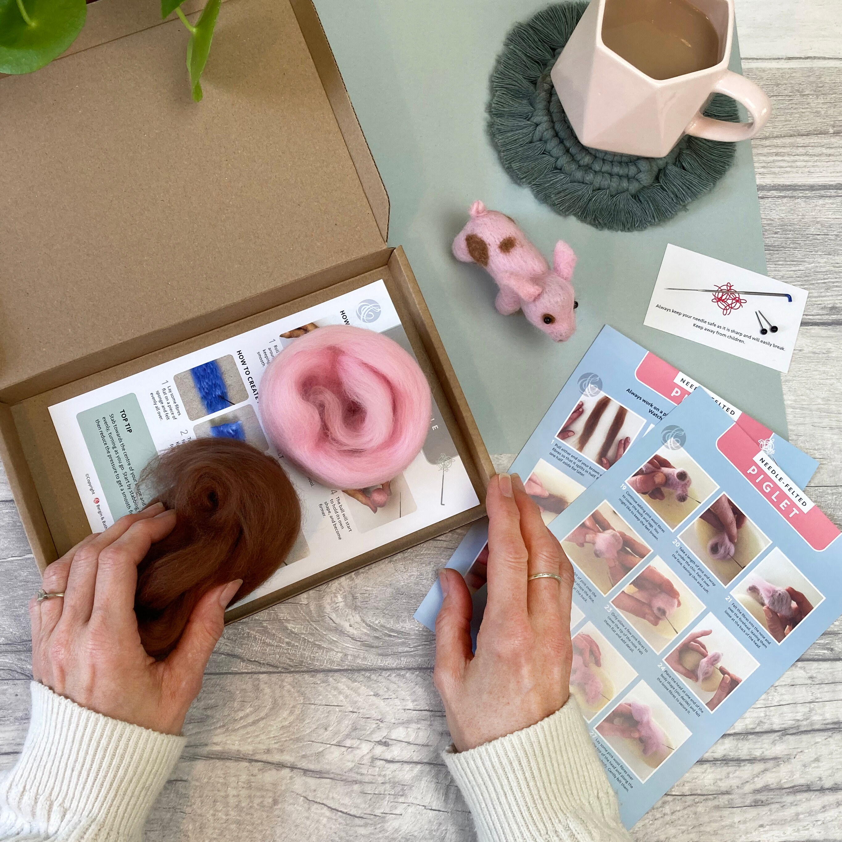 Needle Felting Kit Pig. Make Your Own Mini Piglet With This - Etsy UK