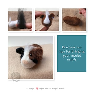 Needle-felted Guinea Pig Pattern, Needle Felting Animal Tutorial ...